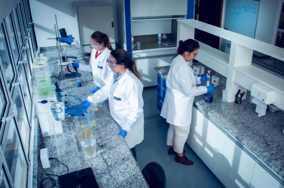 DVA Group investe US$ 200 milhões na América Latina - Máquinas e ...