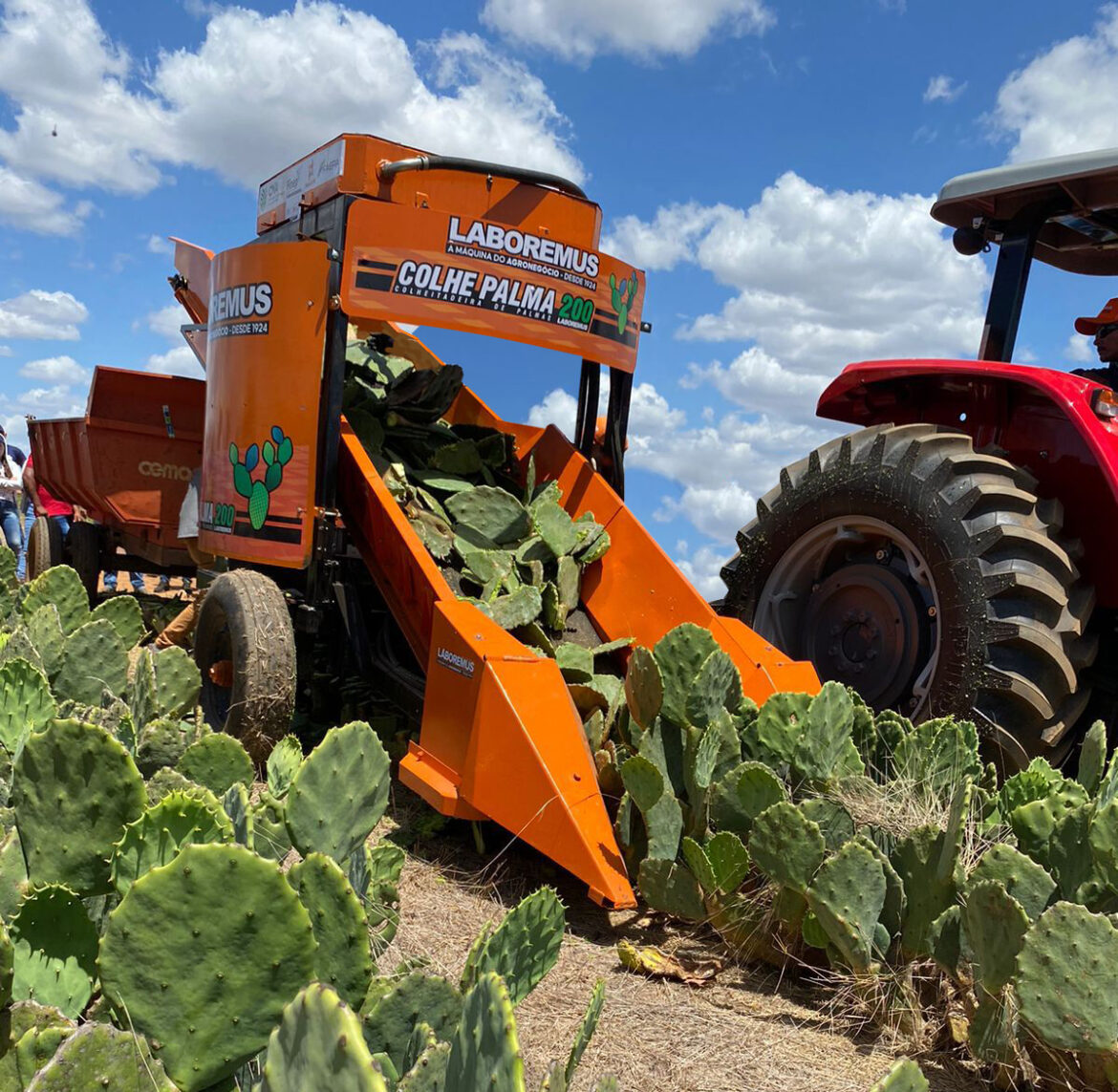 CNA e Laboremus apresentam colheitadeira de palma forrageira